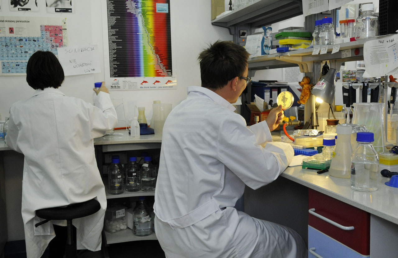 Gdański Uniwersytet Medyczny: Naukowcy GUMed laureatami konkursów NCN